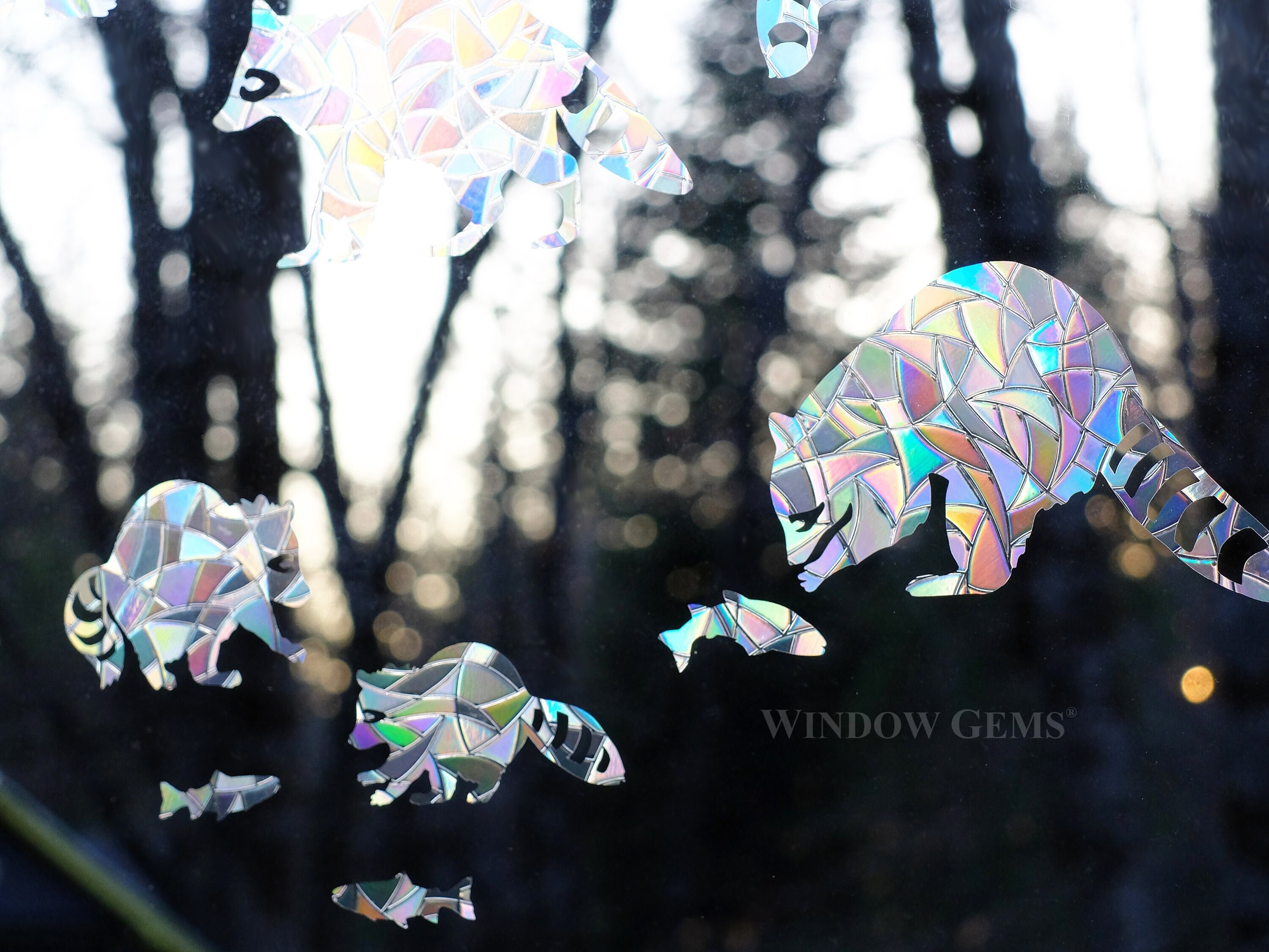 Raccoon Window Clings – Prismatic Decals to Prevent Bird Collisions - Etsy