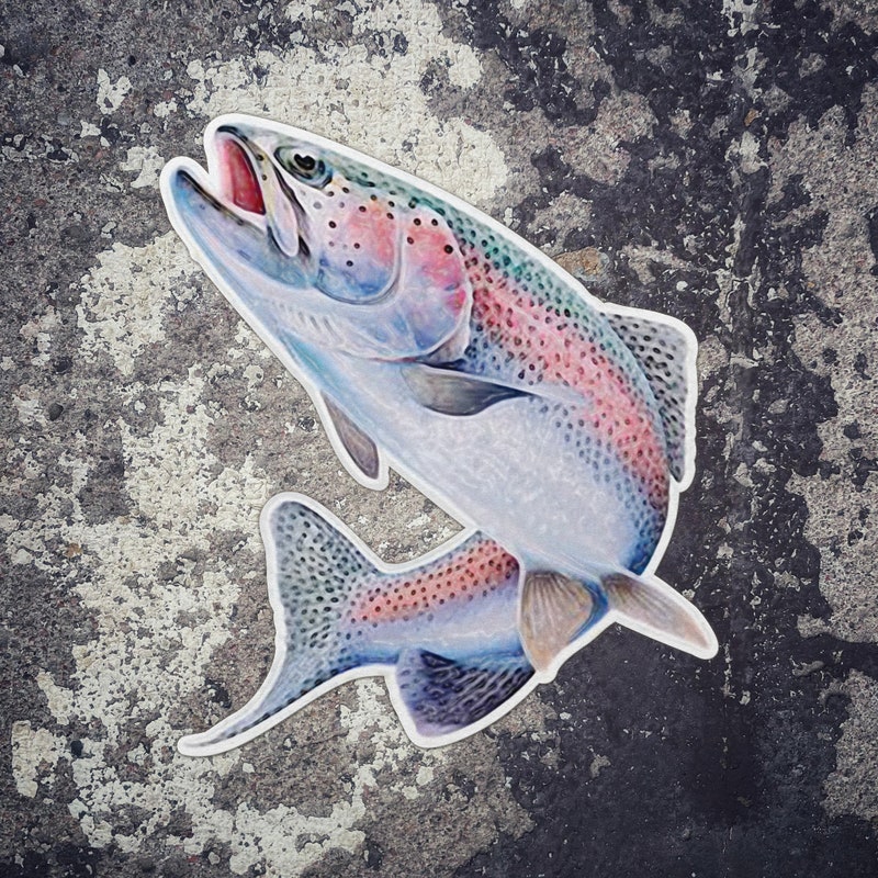 Fly Fishing Decal - Etsy