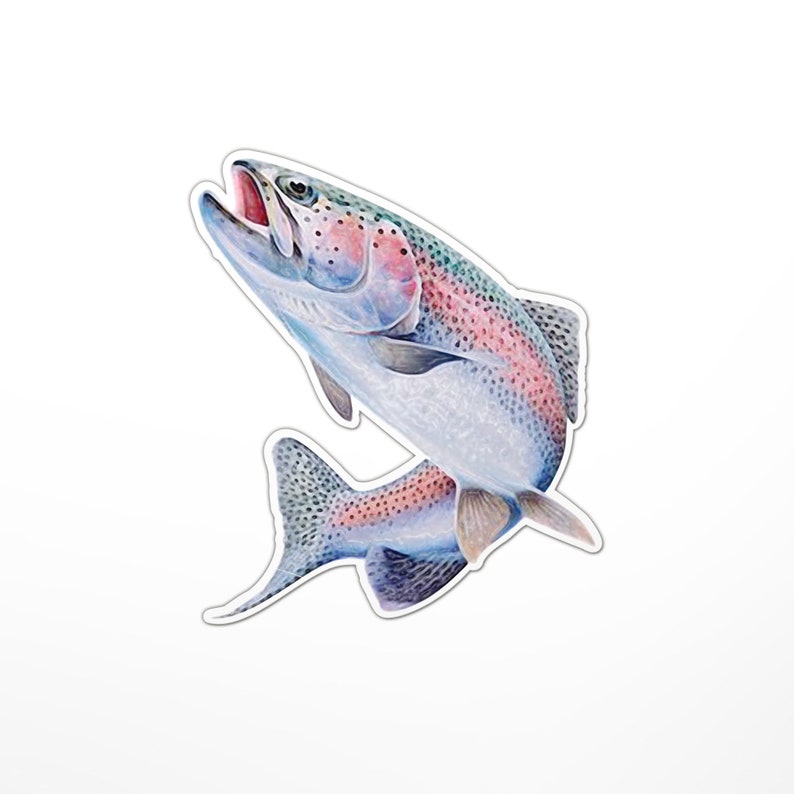 Trout (rainbow) Sticker (fly Fishing, Fisherman, Trout, Flies, Fun ...