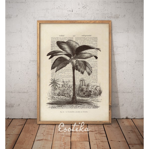 Dictionary Drawing - Etsy