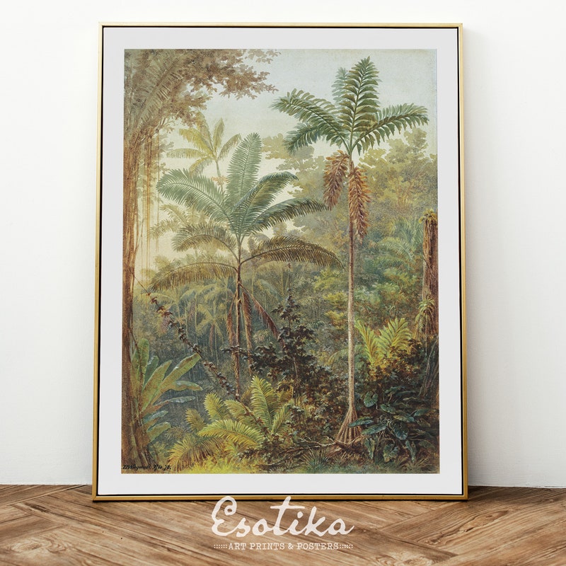 Jungle Print - Etsy