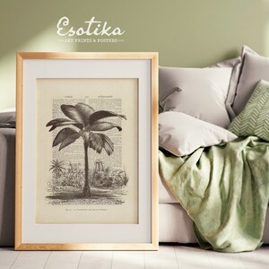 Vintage Palm Tree Dictionary Print / Monochrome Print / Tropical Wall ...