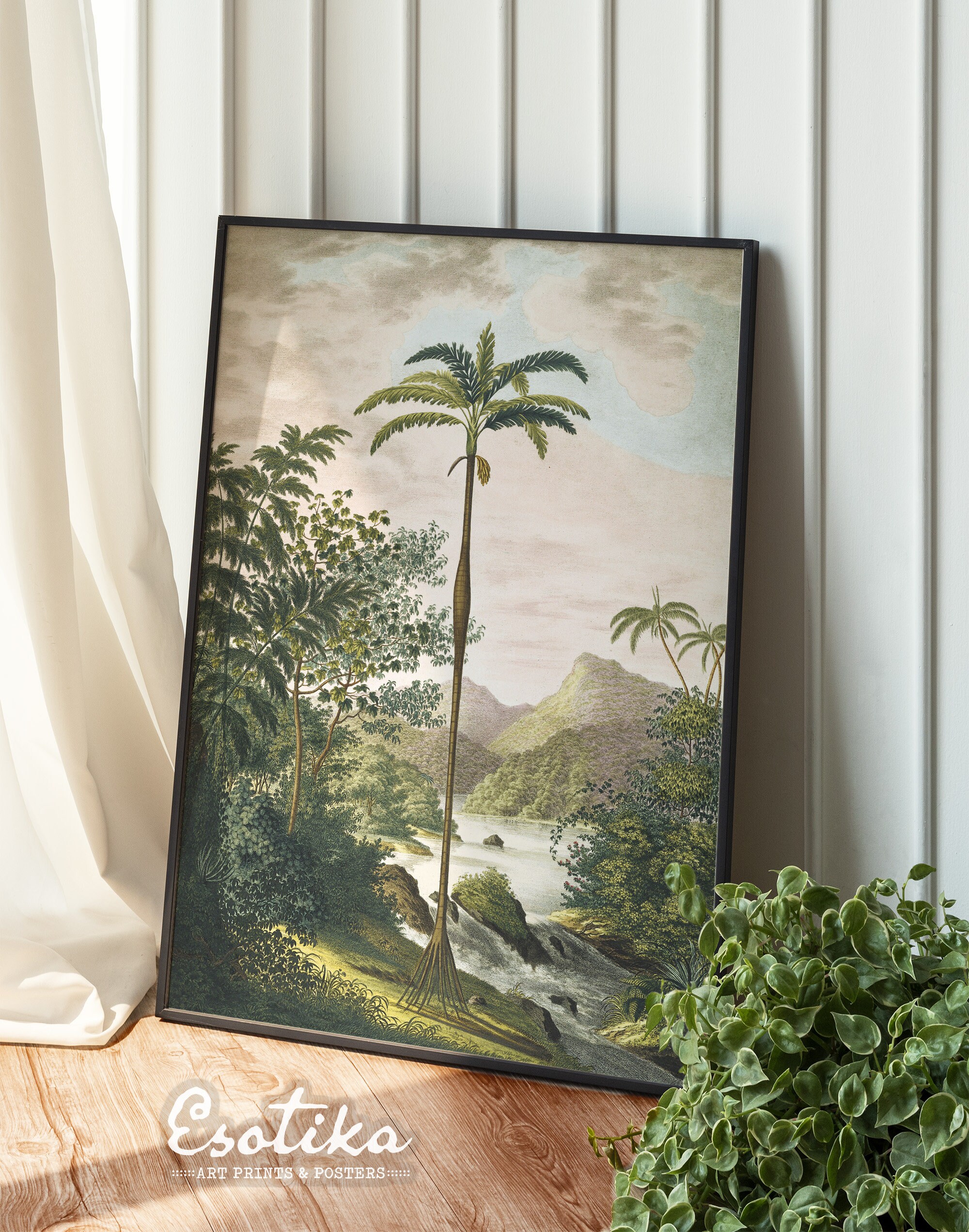 Vintage Botanical Palm Tree Wall Art / Jungle Print / Tropical ...