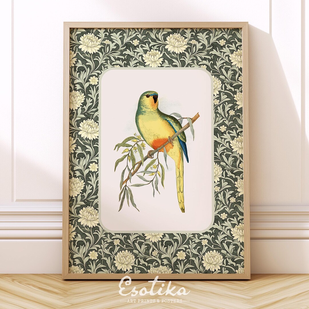 Vintage Bird Print / Botanical Parrot Art / Tropical Room Decor / Sage ...
