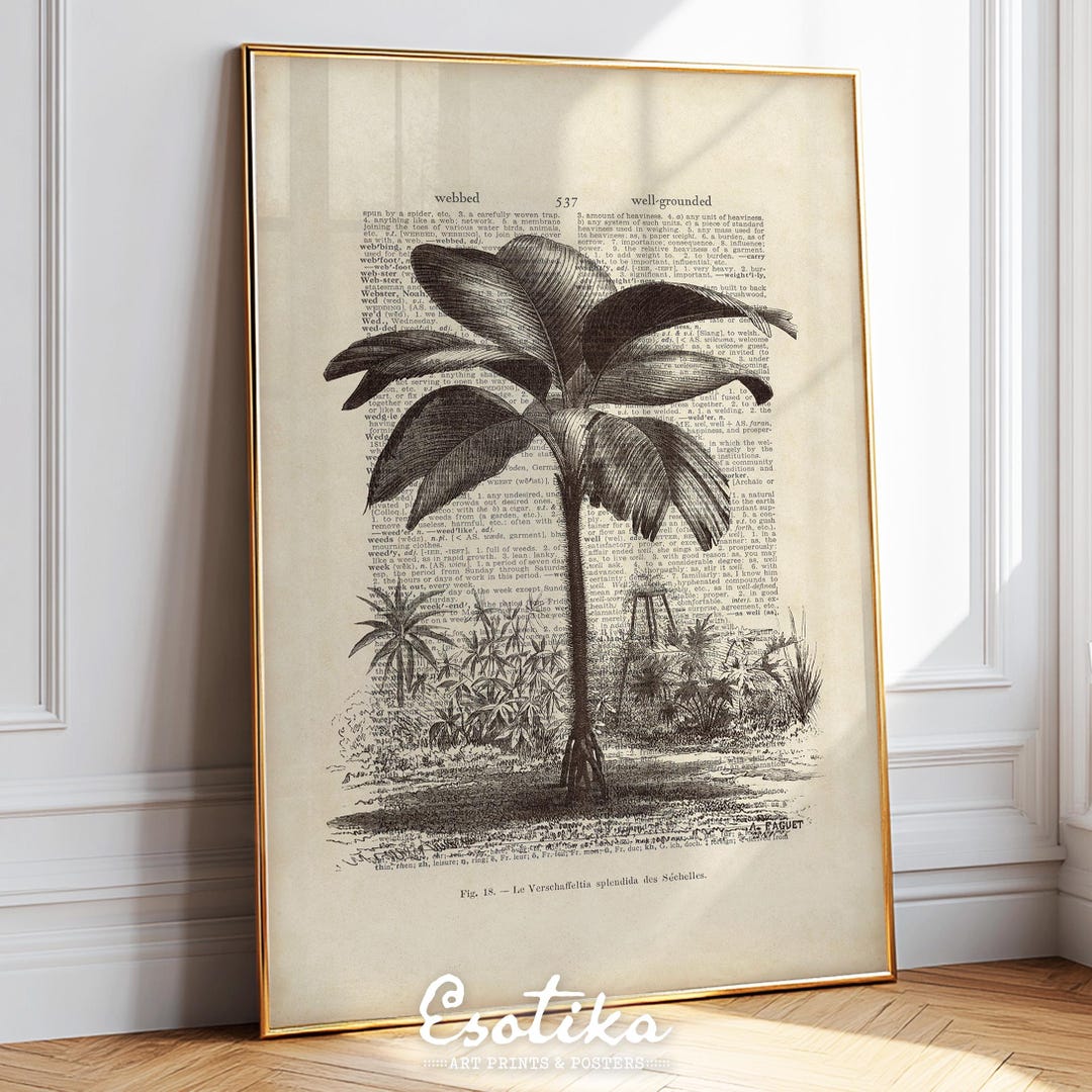 Tropical Palm Tree Dictionary Print / Botanical Tree Print / Vintage ...