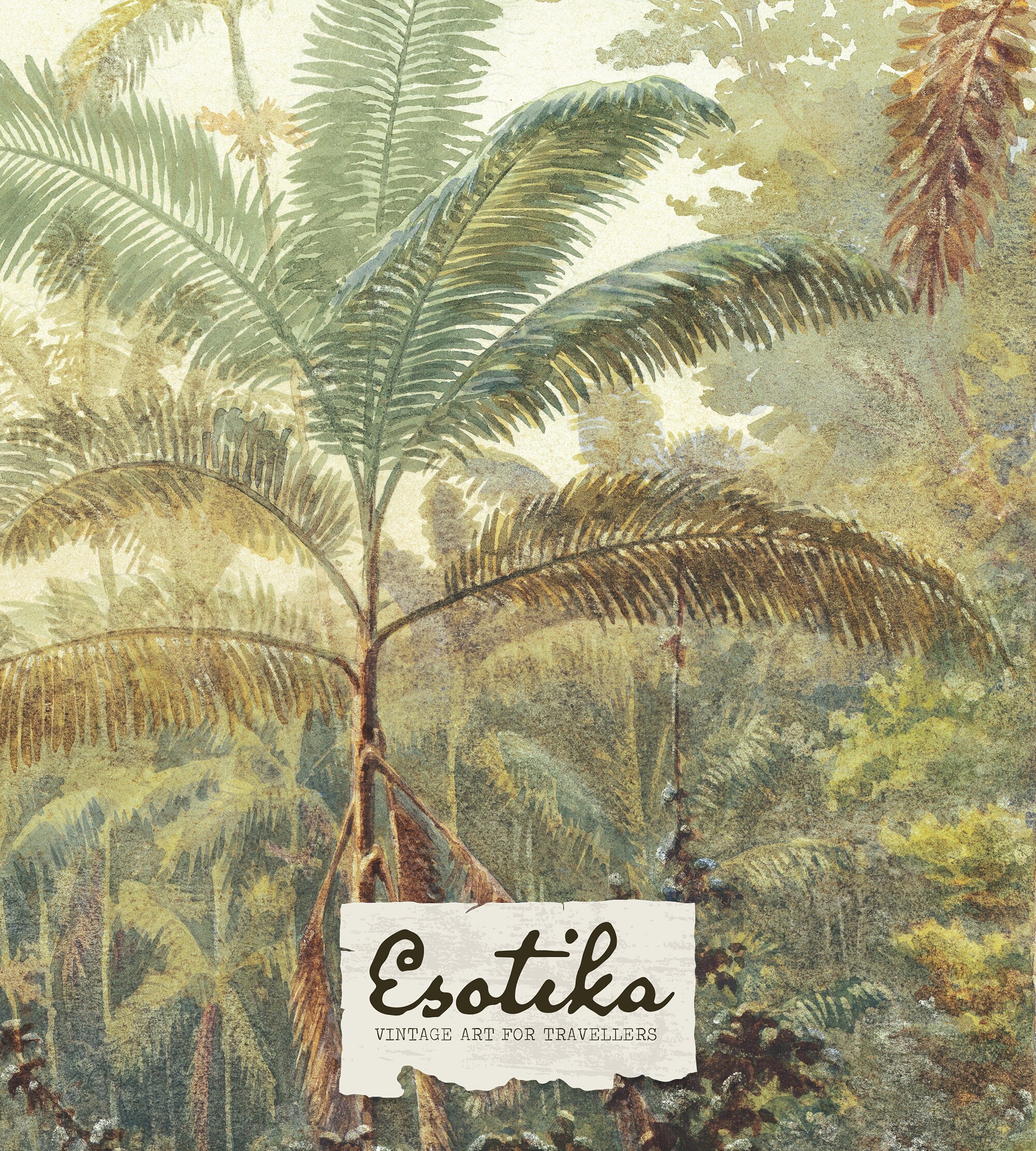 Antique Jungle Gallery Wall Set of 5 Prints / PRINTABLE Tropical Nature ...