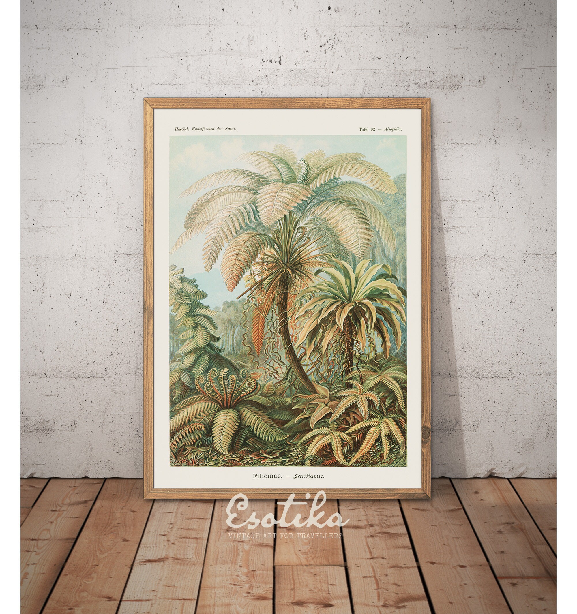 Antique Jungle Gallery Wall Set of 5 Prints / PRINTABLE Tropical Nature ...