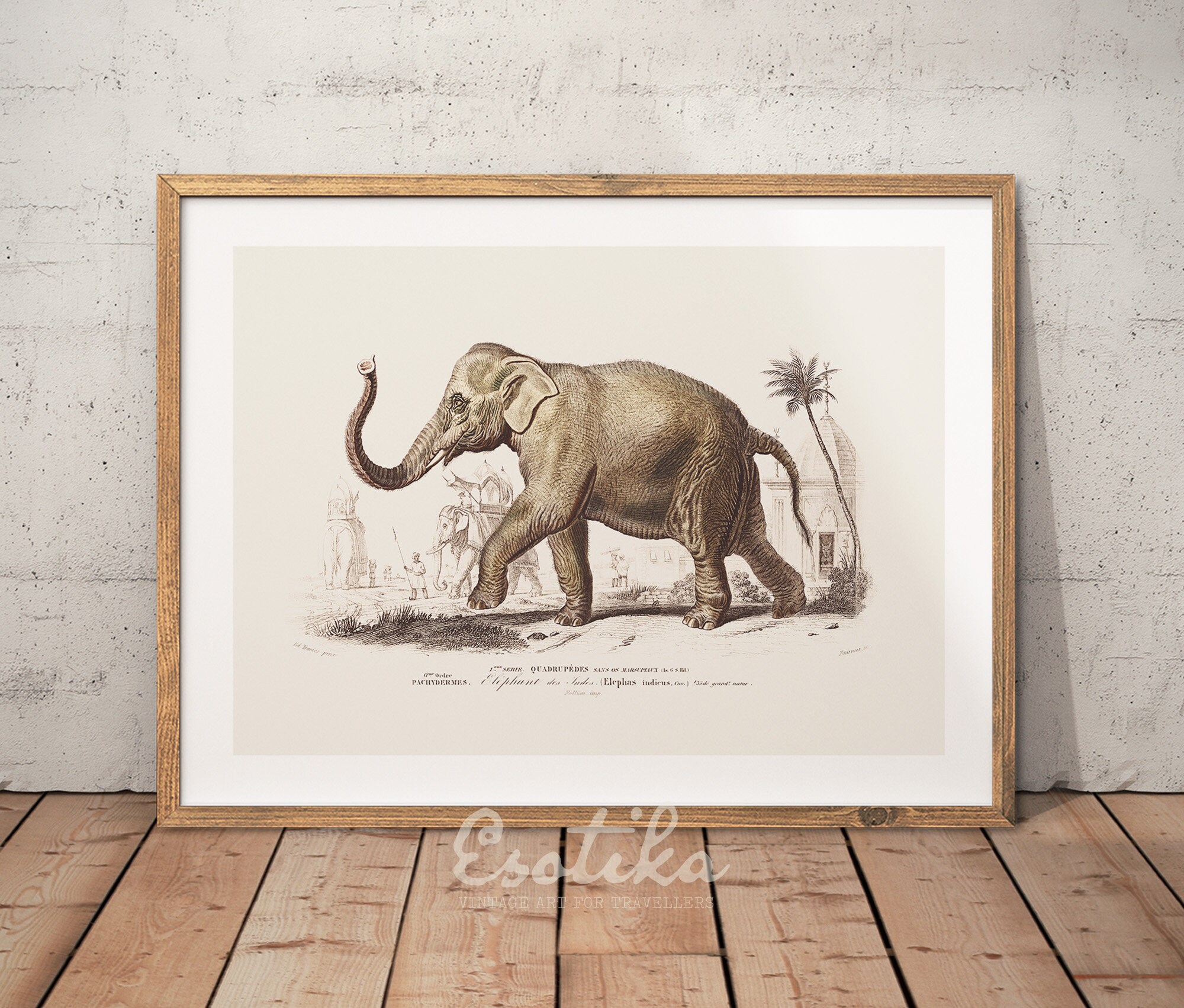 Antique Jungle Gallery Wall Set of 5 Prints / PRINTABLE Tropical Nature ...