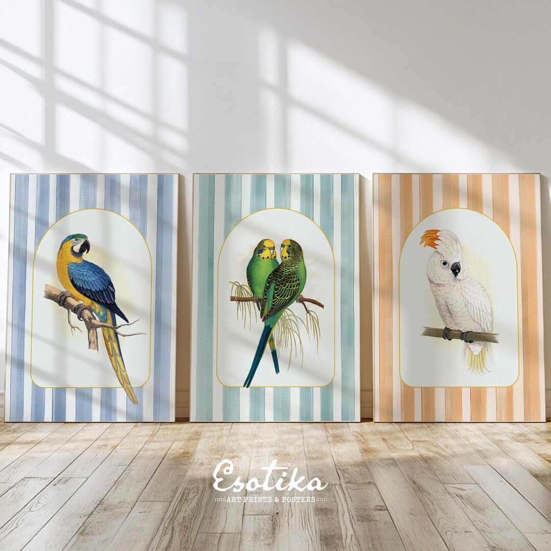 Striped Parrot Prints / Gallery Set of 3 / Trendy Maximalist Decor ...