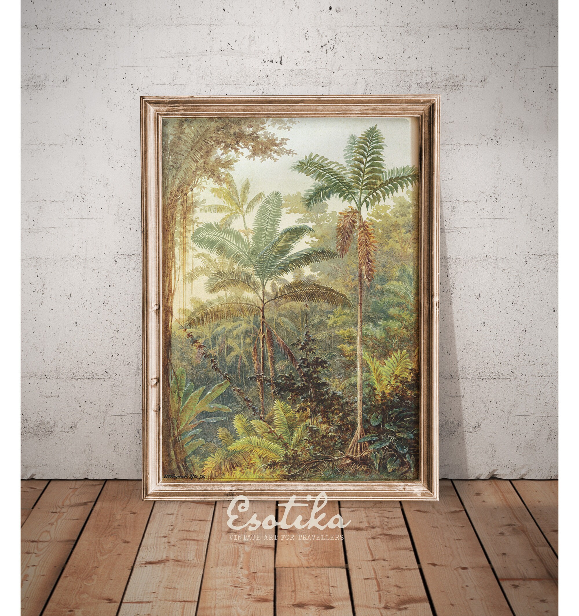 Antique Jungle Gallery Wall Set of 5 Prints / PRINTABLE Tropical Nature ...