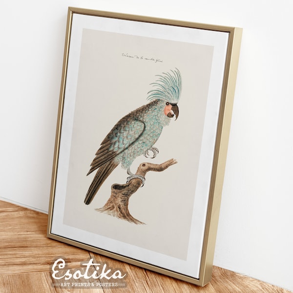 Botanical Bird - Etsy