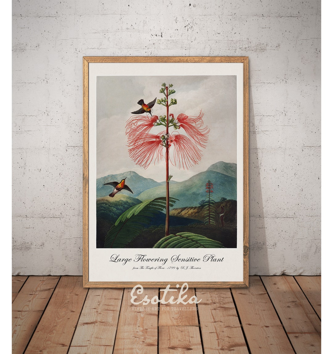 Vintage Tropical Plant With Hummingbirds Oil Painting / Tropical ...