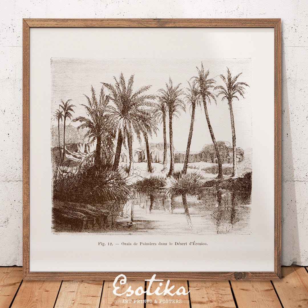 Monochrome Print / Botanical Palm Tree Landscape Drawing / Vintage ...