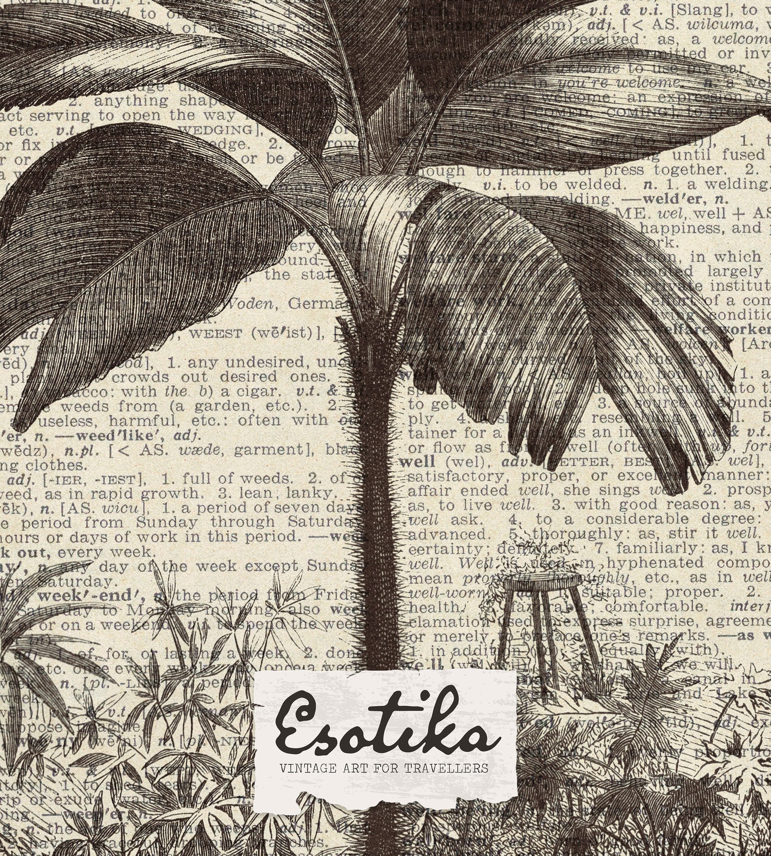 Vintage Palm Tree Dictionary Print / Monochrome Print / Tropical Wall ...