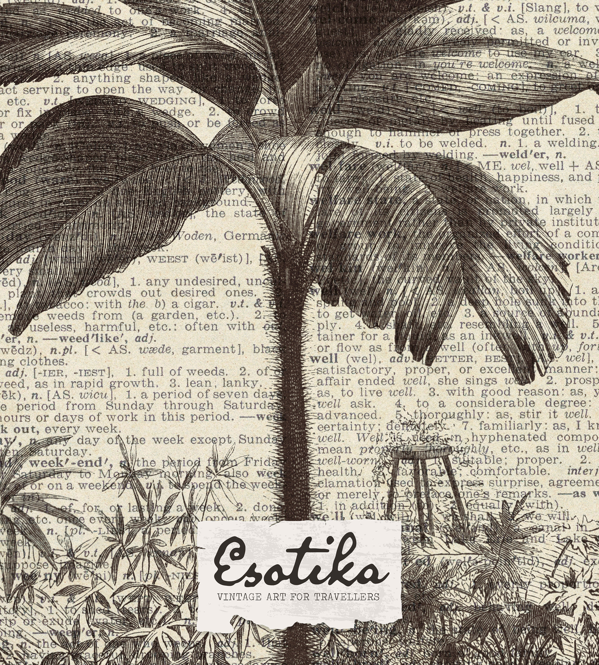 Vintage Palm Tree Dictionary Print / Monochrome Print / Tropical Wall ...