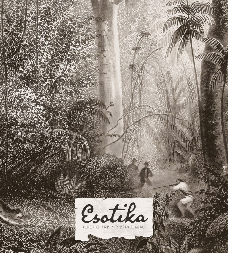 Tropical Rainforest Print / Vintage Brown Jungle Wall Art / PRINTABLE ...