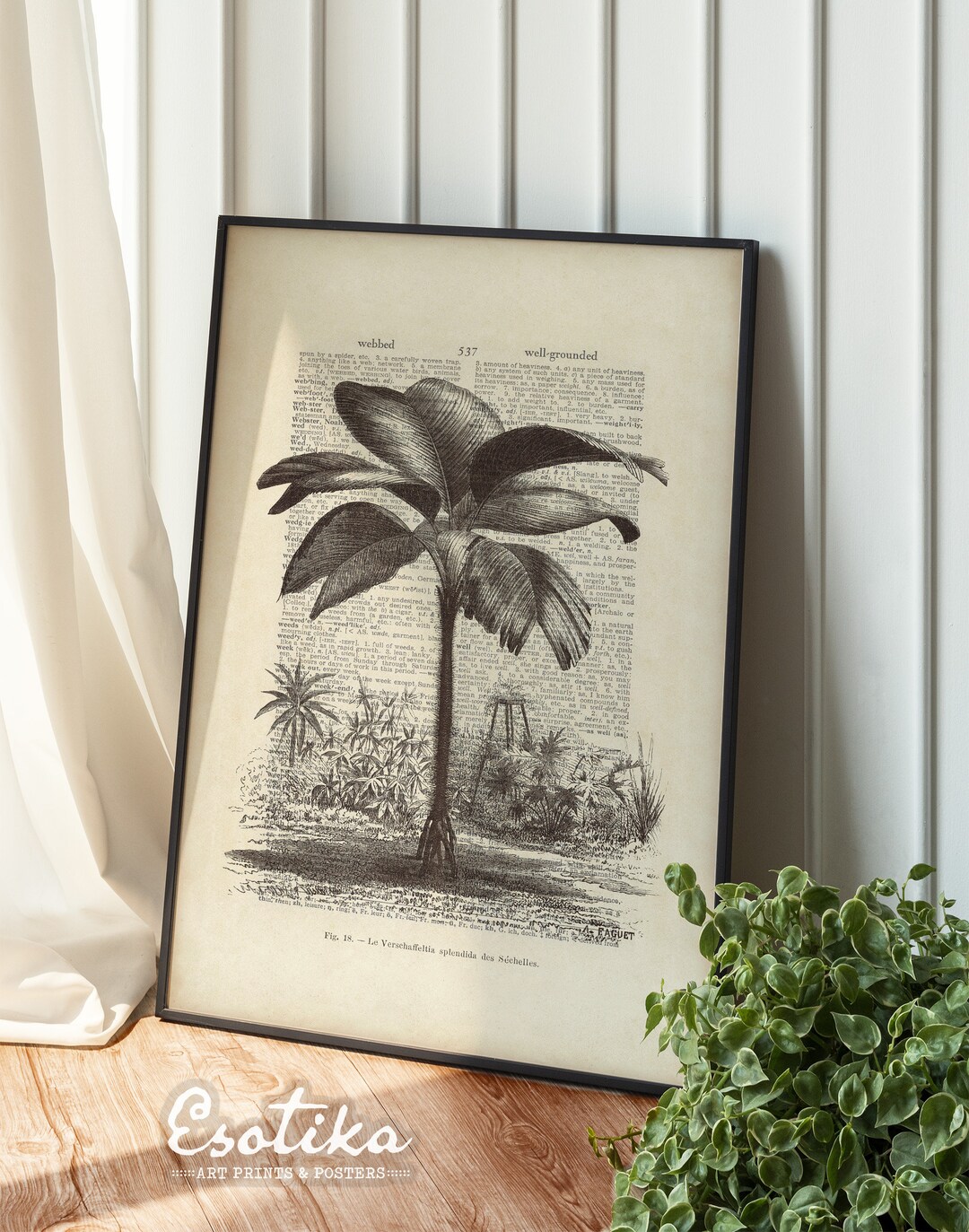 Vintage Palm Tree Dictionary Print / Monochrome Print / Tropical Wall ...