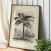 Vintage Palm Tree Dictionary Print / Monochrome Print / Tropical Wall ...