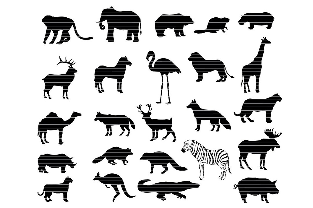 Zoo Tiere Silhouette Zoo Svg Tier Svg Dateien für Cricut - Etsy Schweiz