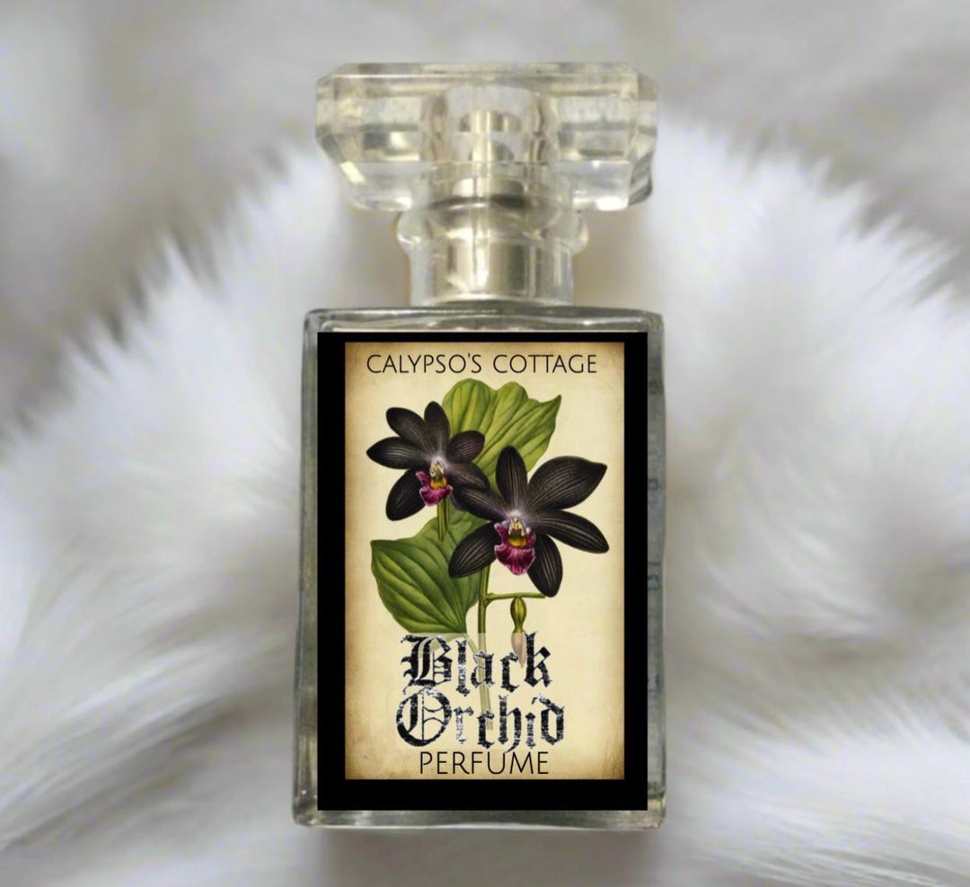 Black Orchid Perfume- Orchid -egyptian Jasmine- Amber - Indie Fragrance ...