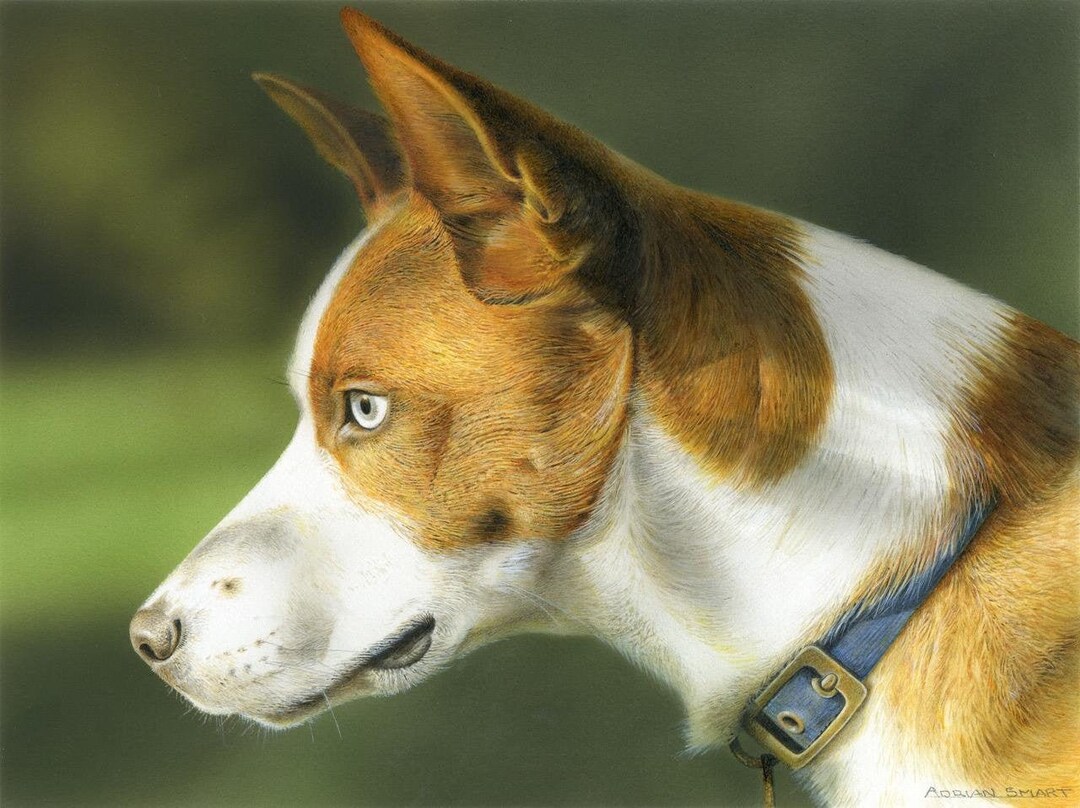 Dog Watercolour Print - Etsy