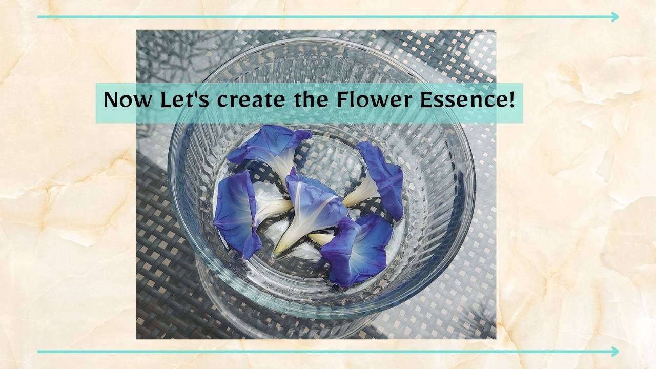 How to Create a Flower Essence & Communicate With the Flower - Etsy