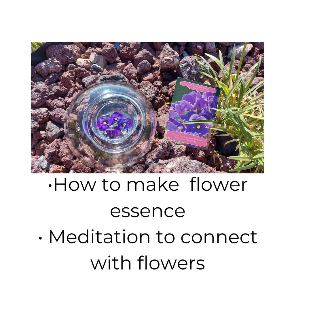How to Create a Flower Essence & Communicate With the Flower - Etsy