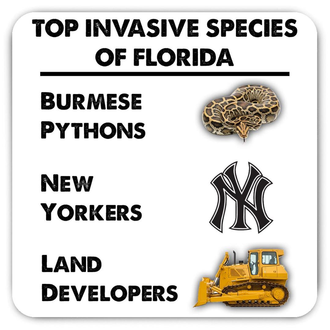 Hilarious Florida Funny Invasive Species Magnet - Etsy