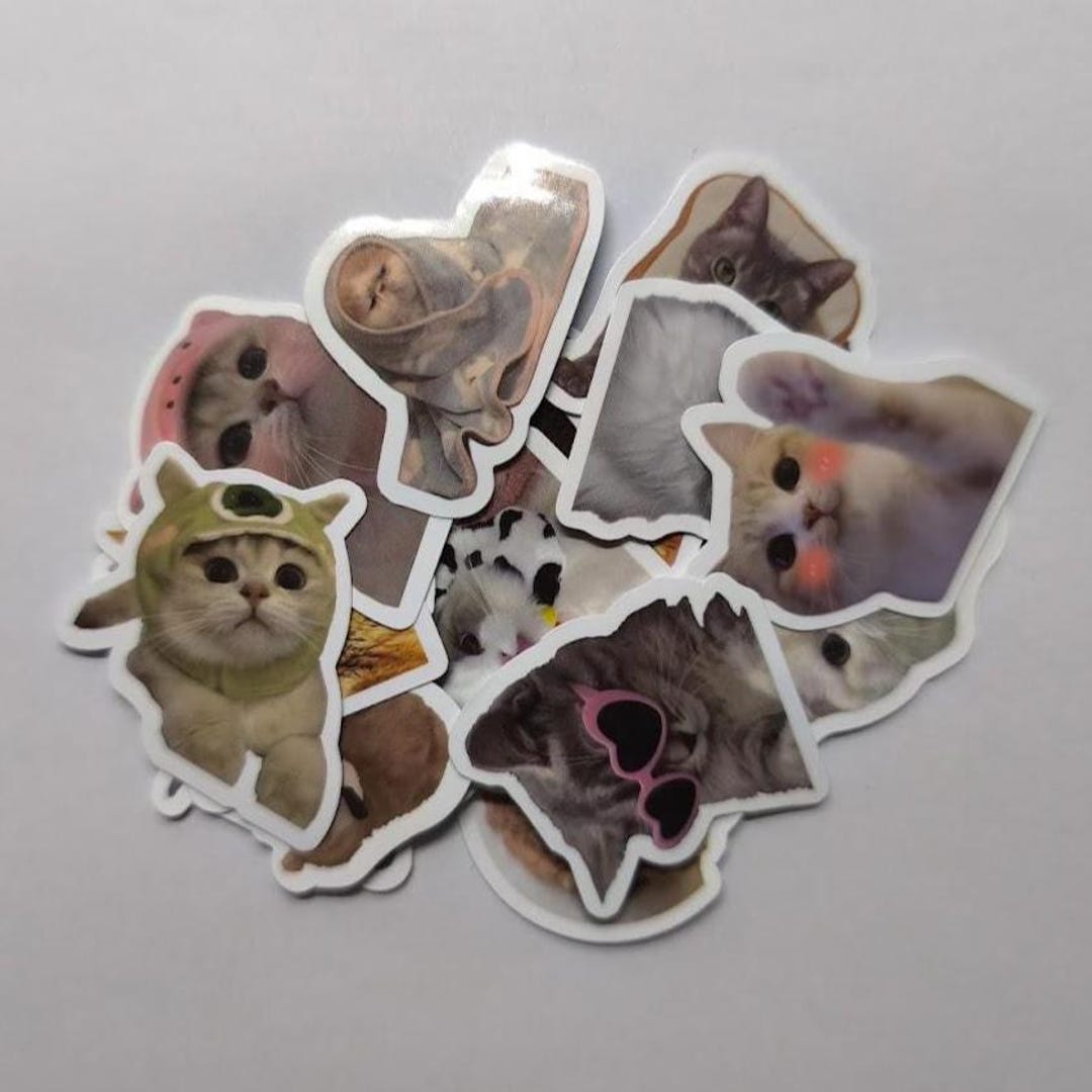 Funny Cat Meme Stickers | Cartoon Animal Stickers | Waterproof ...