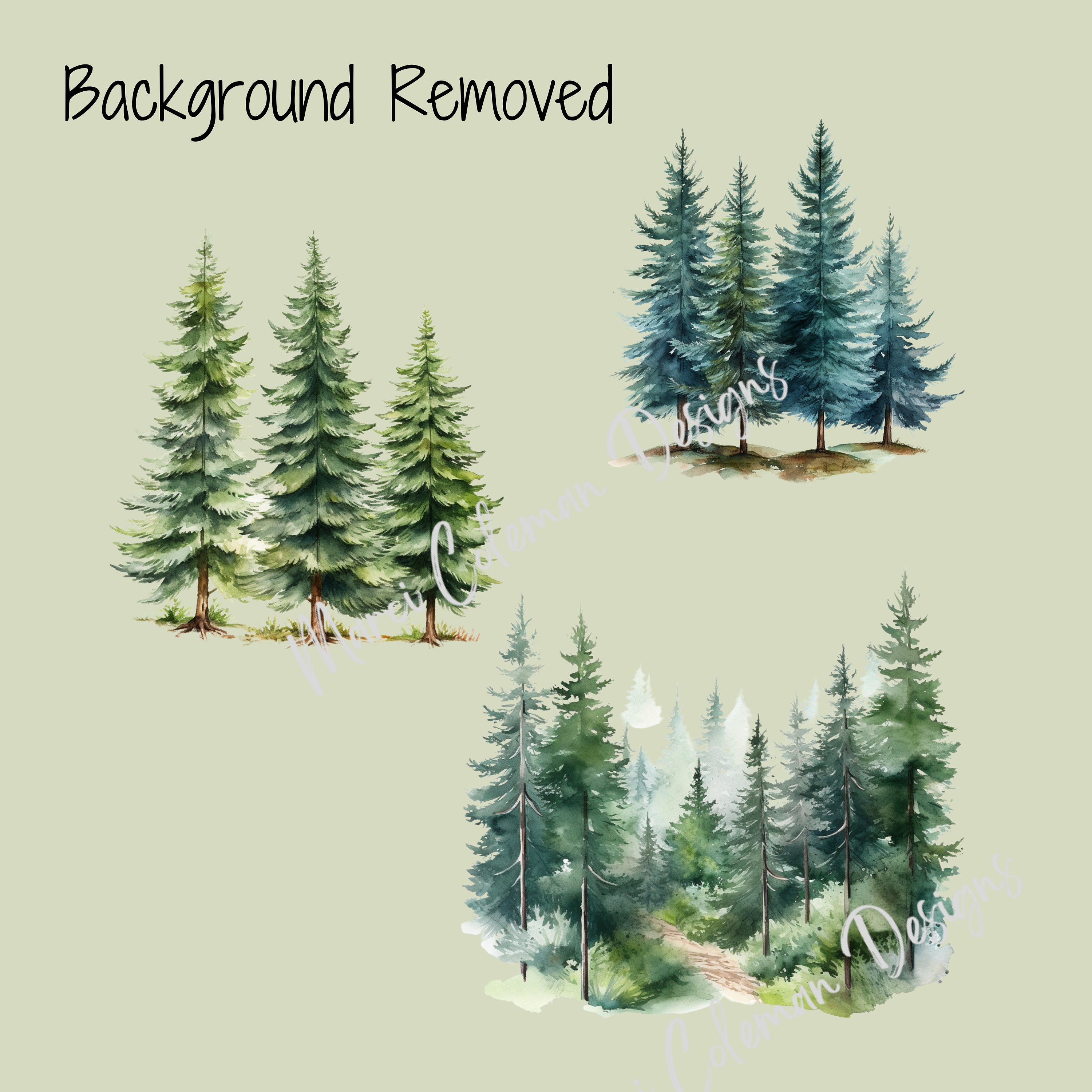 Pine Tree Forest Clipart Pack | 18 High Quality PNG Clip Art File ...