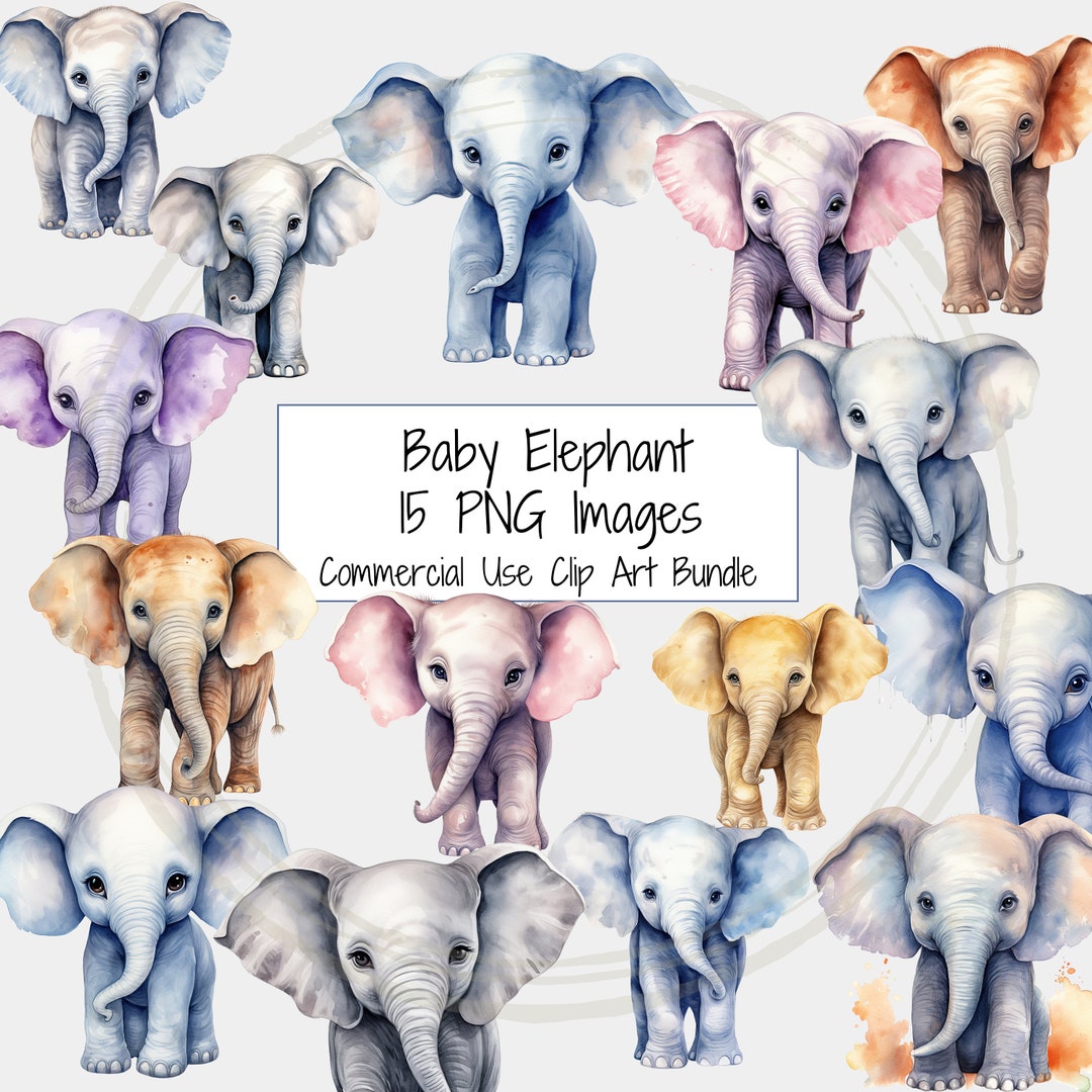Watercolor Baby Elephant Clipart Pack | 15 High Quality PNG Clip Art ...