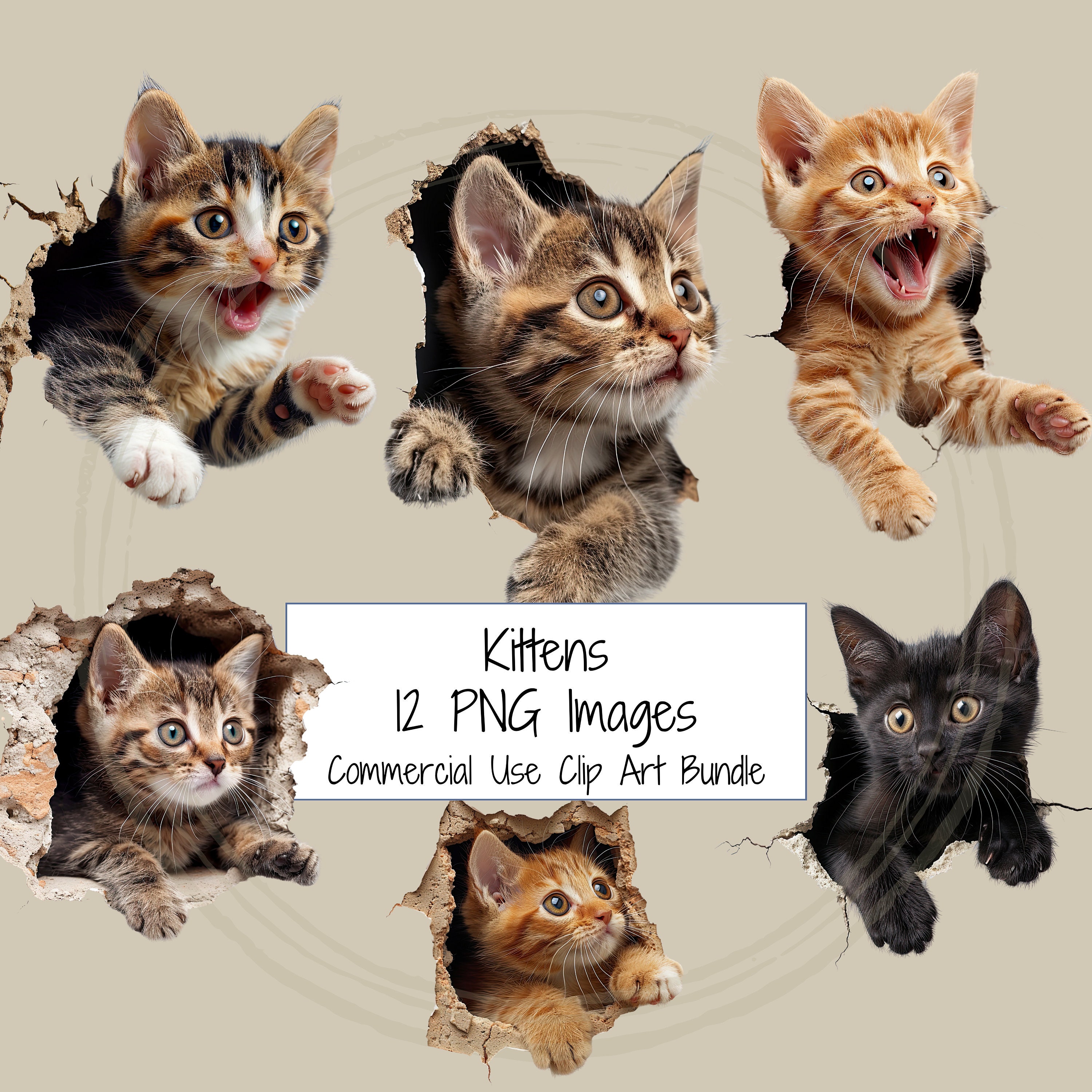 Kitten Clip Art Pack, 12 High Quality PNG Clip Art File Bundle, Kittens ...