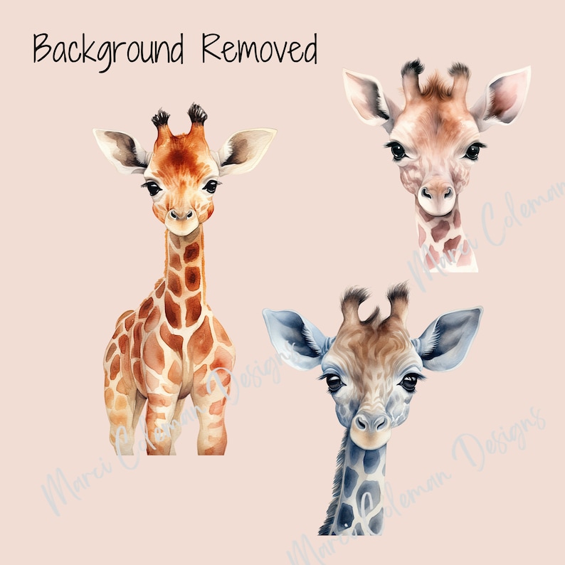 Watercolor Baby Giraffe Clipart Pack 27 High Quality PNG Clip Art File ...