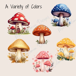 Mushroom Clipart Pack | 45 High Quality PNG Clip Art File Bundle ...