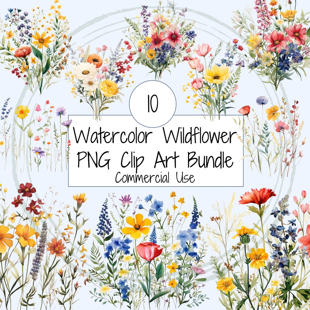 Wildflower Clipart Pack | 10 High Quality PNG Clip Art File Bundle ...