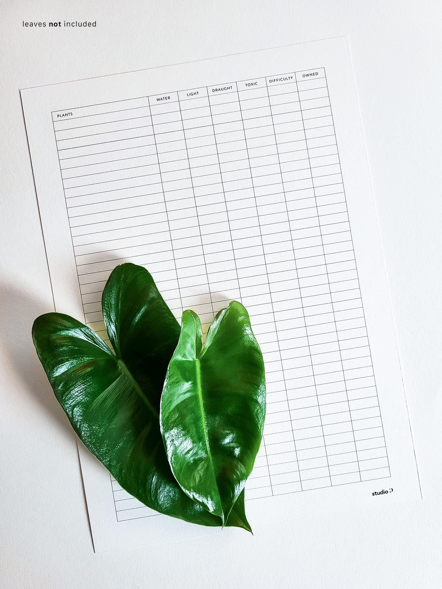 Houseplant Guide | Indoor Plant Checklist With Water, Light, Draft ...