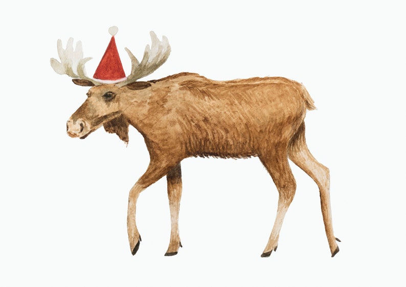 Santa Hat Moose Watercolor Art. Funny Christmas Card. Moose Antlers ...