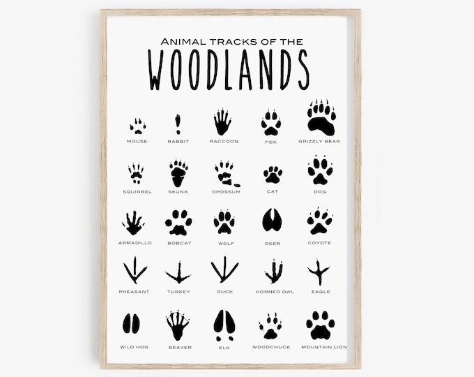 Printable Animal Tracks, Print Cards, Forest Animal Tracks Guide ...