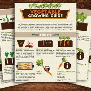 Gardening Cheat Sheets, Garden Guides, Vegetables Printable, Vegetable ...