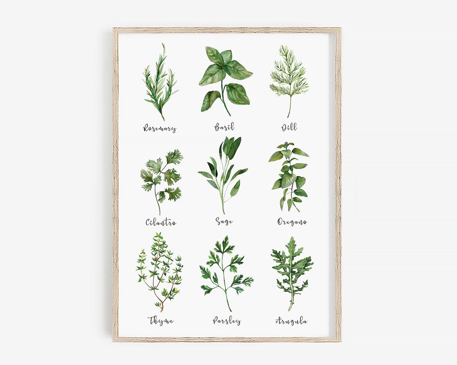 Herb Poster Print Herb Printables Kitchen Printables - Etsy