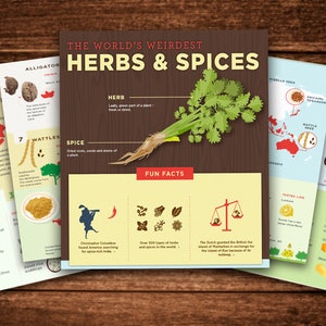 Herbs and Spices Guides, Spice Cheat Sheets, Organic Spices, Spice ...
