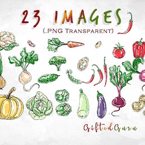 Hand Drawn Vegetable Clipart, Watercolor Food Clipart, Veggie Clipart ...