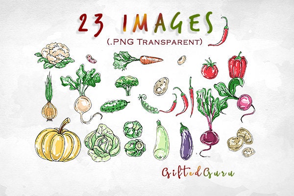 Hand Drawn Vegetable Clipart Watercolor Food Clipart Veggie | Etsy