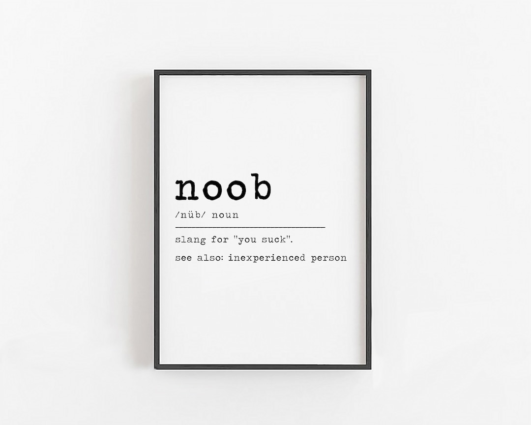 Noob Definition · Noob Print · Funny Gamer Decor · Funny Gamer Gifts ...