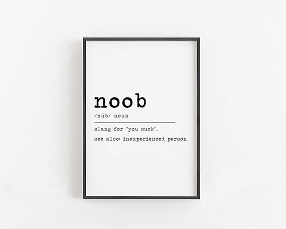 Noob Definition Noob Print Funny Gamer Decor Funny Gamer | Etsy