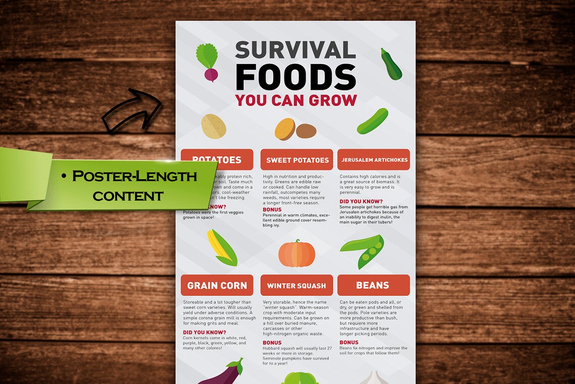 Gardening Cheat Sheets, Garden Guides, Vegetables Printable, Vegetable ...