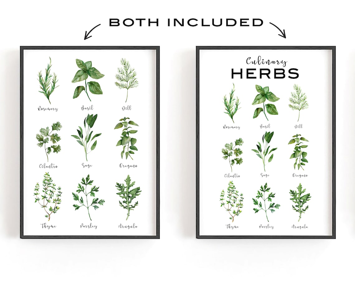 Herb Poster Print · Herb Printables · Kitchen Printables · Watercolor ...