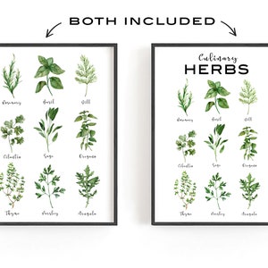 Herb Poster Print Herb Printables Kitchen Printables Watercolor Herb ...