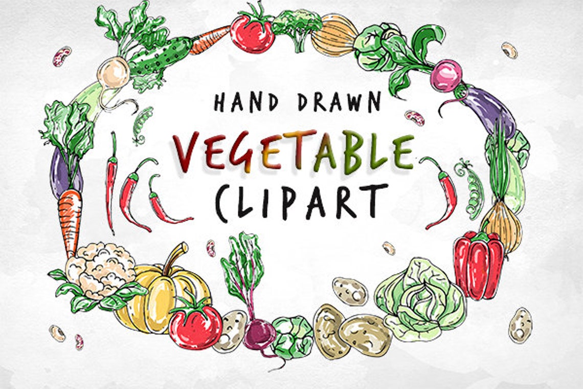Hand Drawn Vegetable Clipart Watercolor Food Clipart Veggie | Etsy