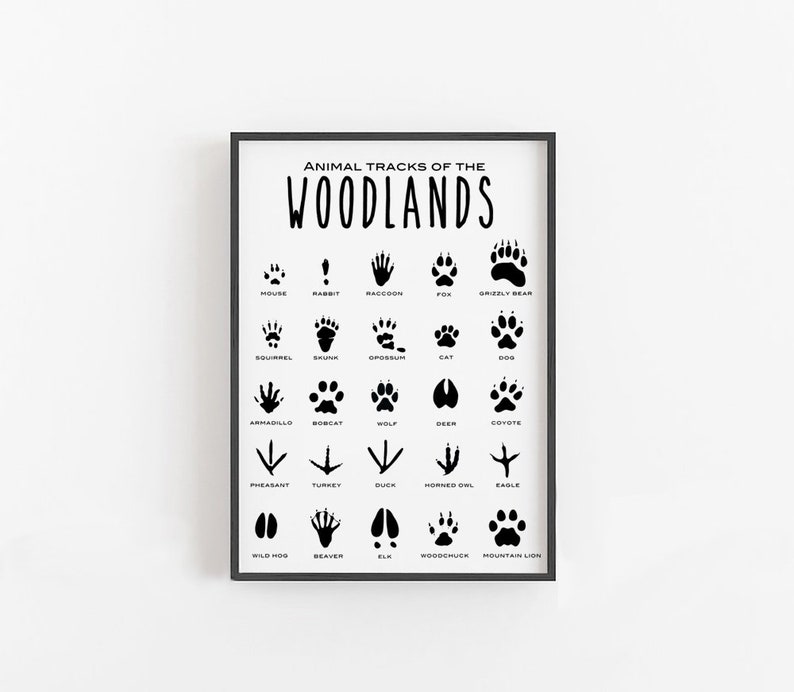 Animal Tracks Print · Animal Tracks of the Woodland Printable · Animal ...